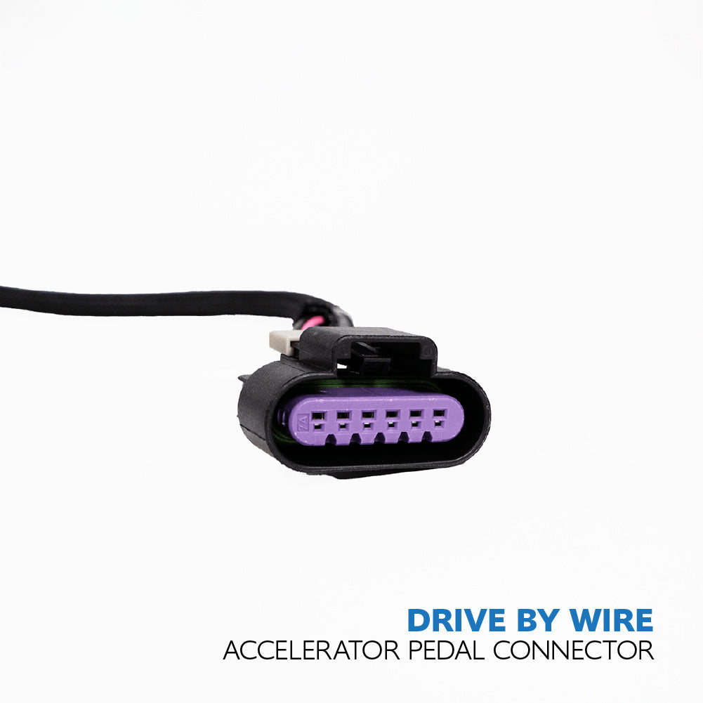 Terminated Gen4 Drive-By-Wire LSX CORE ECU Harness – EFI Conversions