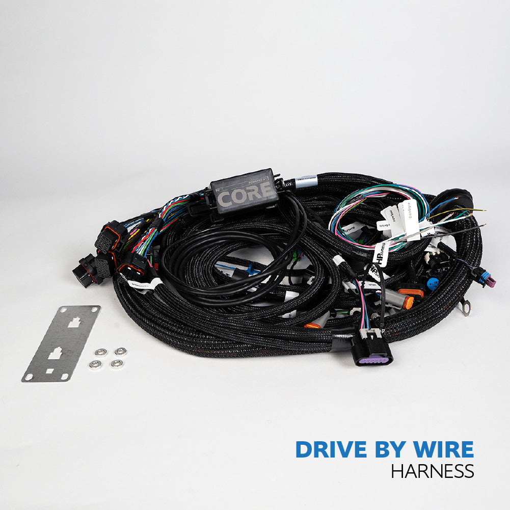 Terminated Gen4 Drive-By-Wire LSX CORE ECU Harness – EFI Conversions